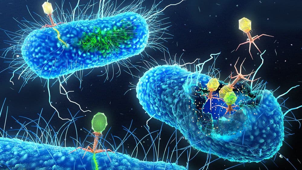 Intens bruk av datakraft skal finne fremtidens vaksine mot livsfarlige ...